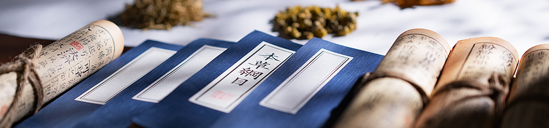 WFCMS Standardization Construction Committee